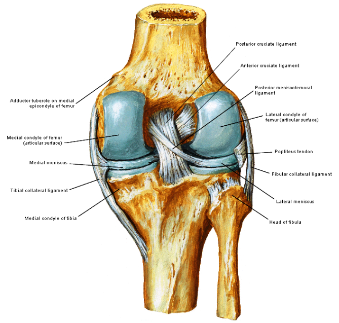 SEO Titel: Pijnbehandeling | MC De Rivieren – Kniegewricht Pijnklachten